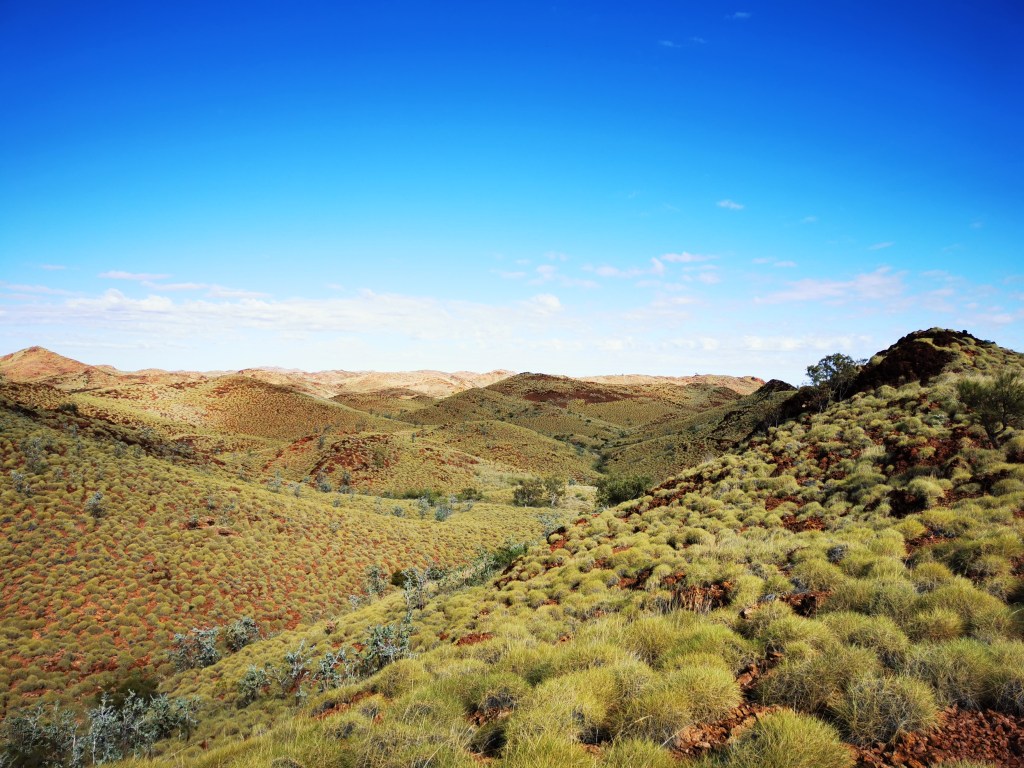 Pilbara Craton – Laboratory for Lithosphere Evolution and Geodynamics