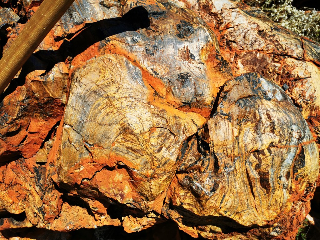 Pilbara Craton – Laboratory for Lithosphere Evolution and Geodynamics